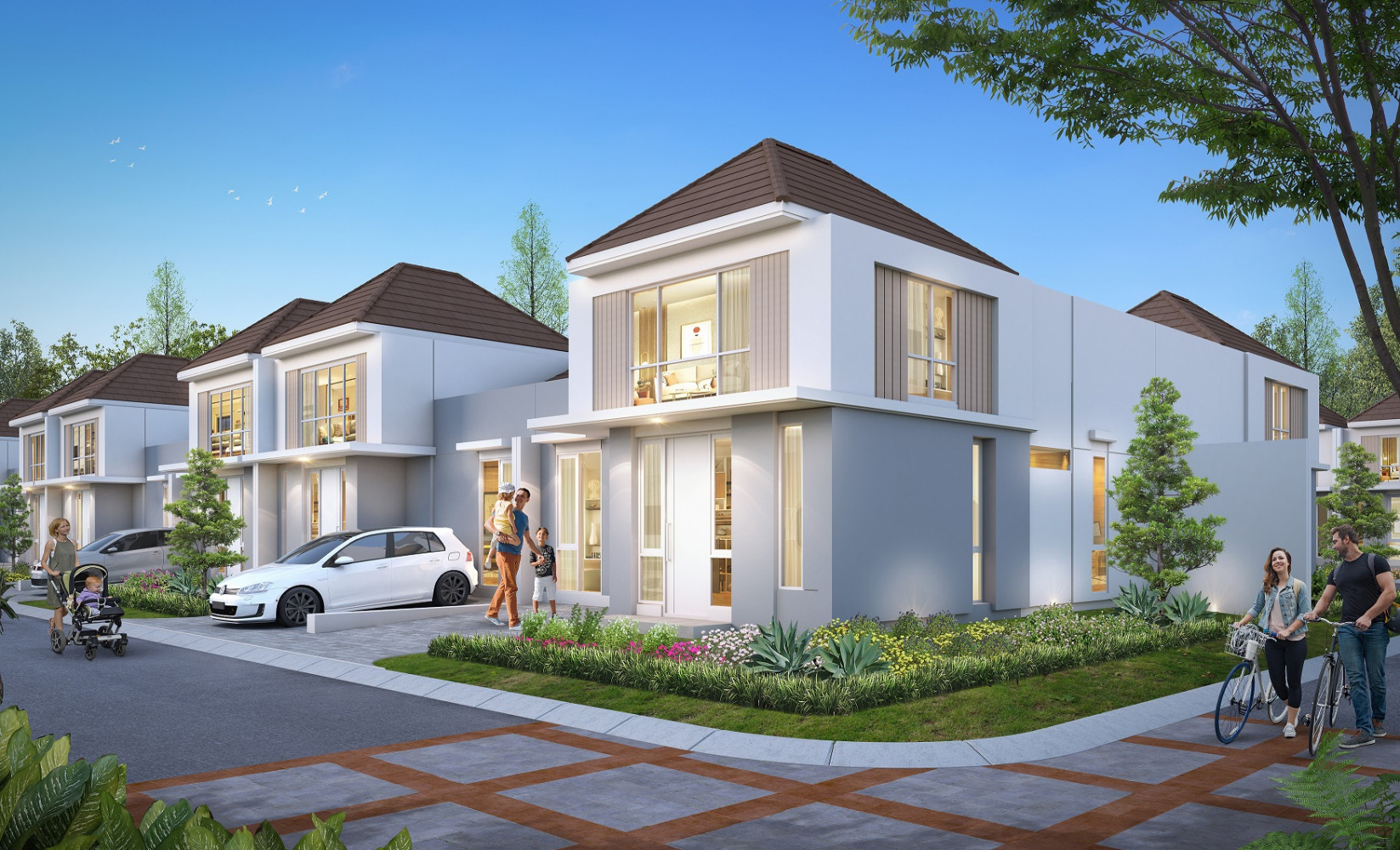 Canna Paramount Petals | Paramount Land